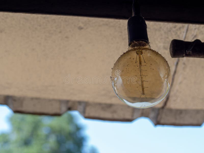 346 Dead Light Bulb Stock Photos - Free & Royalty-Free Stock Photos ...