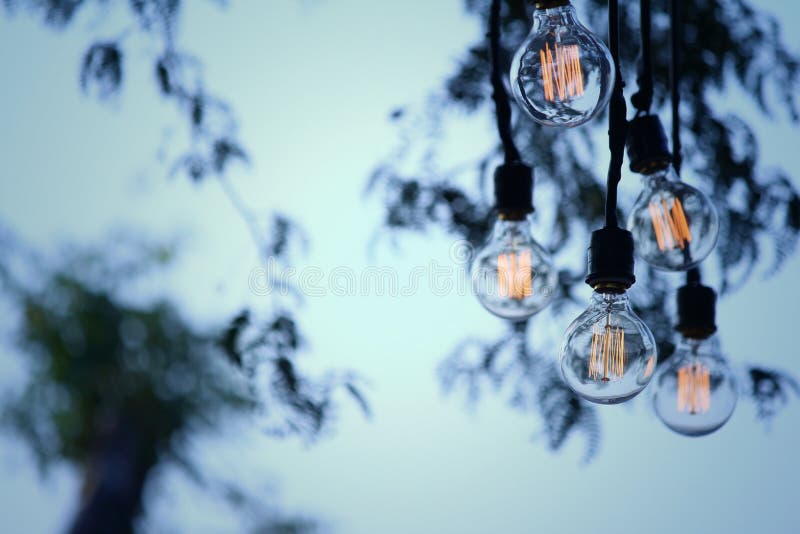 Vintage Bulbs Hanging on the Tree at the Park Stock Image - Image of ...