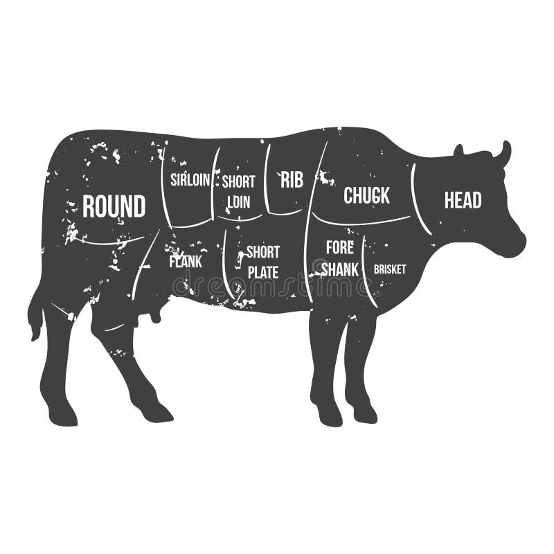 Meat Menu Pork Chicken Beef Cuts Hand Drawn Vector Stock Vector ...