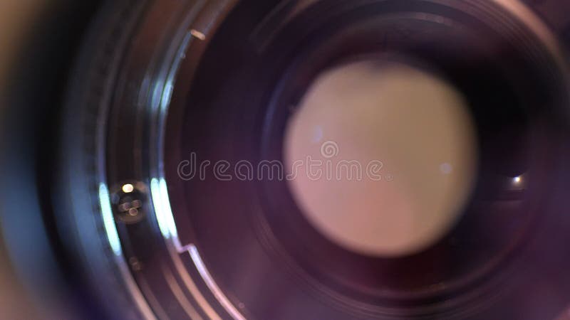 Cop Showing To Criminal Victim Photo and Checking Reaction, Body ...