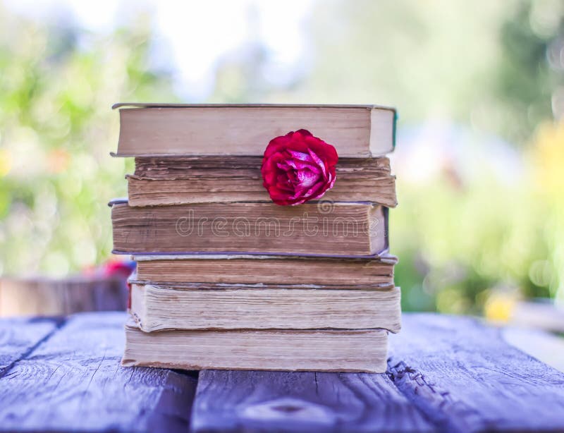 Vintage Card with Stack of Old Books and Rose Flower Outdoors Stock ...