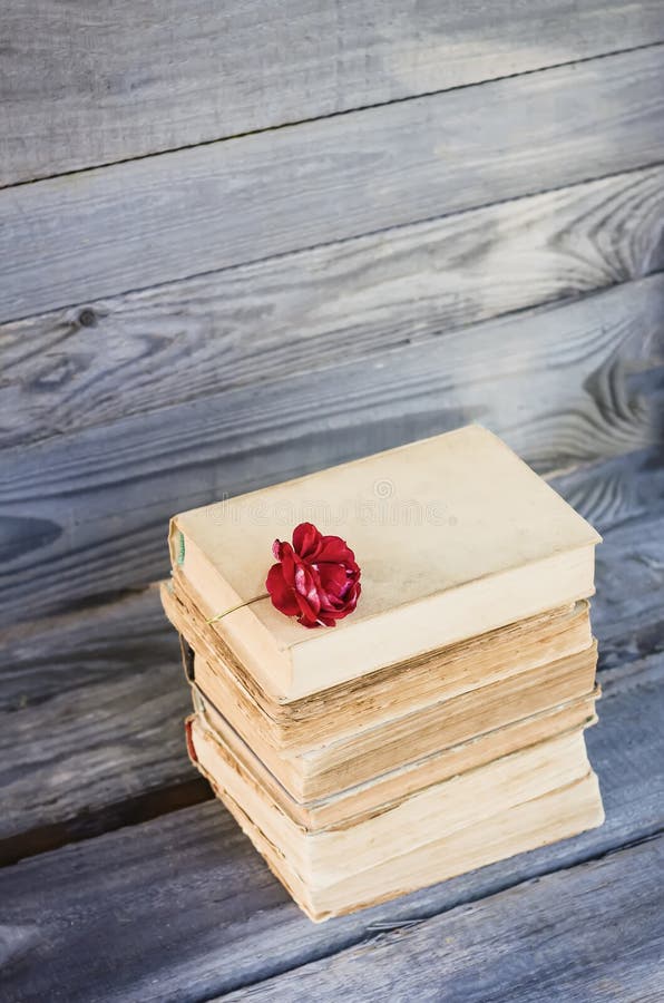 Vintage Card with Stack of Old Books and Rose Flower Outdoors Stock ...