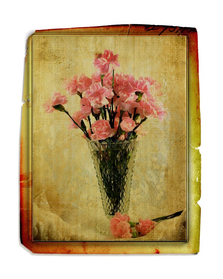 Vintage Carnations in Vase stock image. Image of flowers - 11081665