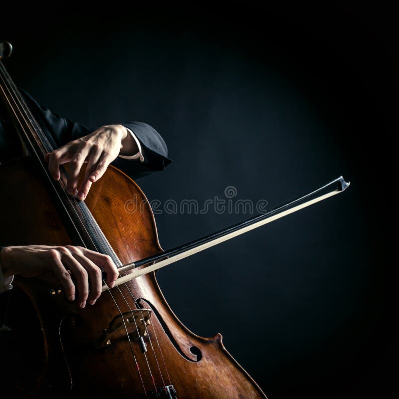 Cello player stock photo. Image of player, concentration - 858414