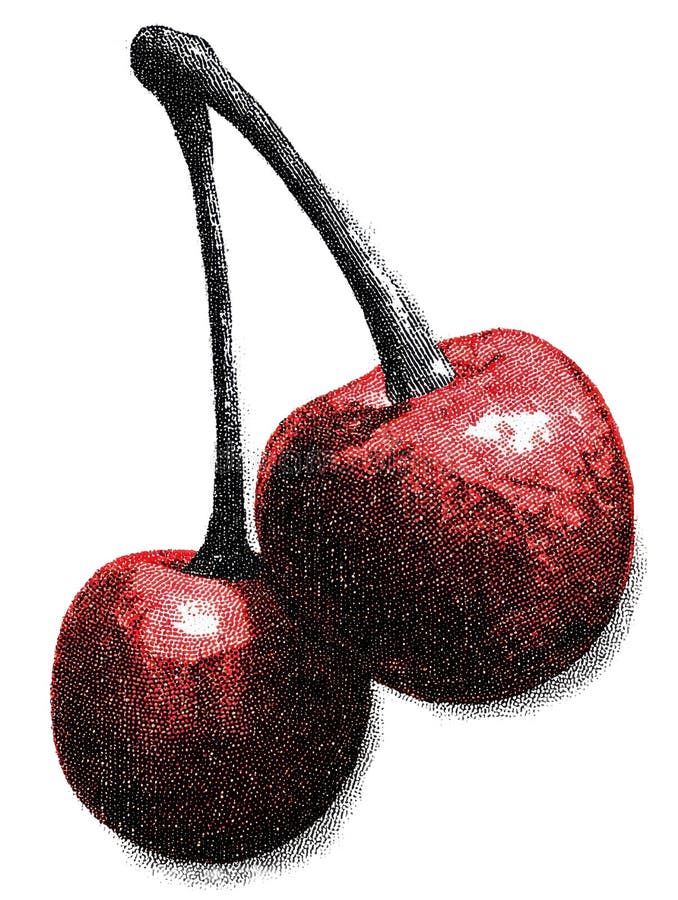 Vintage Cherries, Retro Fruit Illustration Isolated on Transparent ...