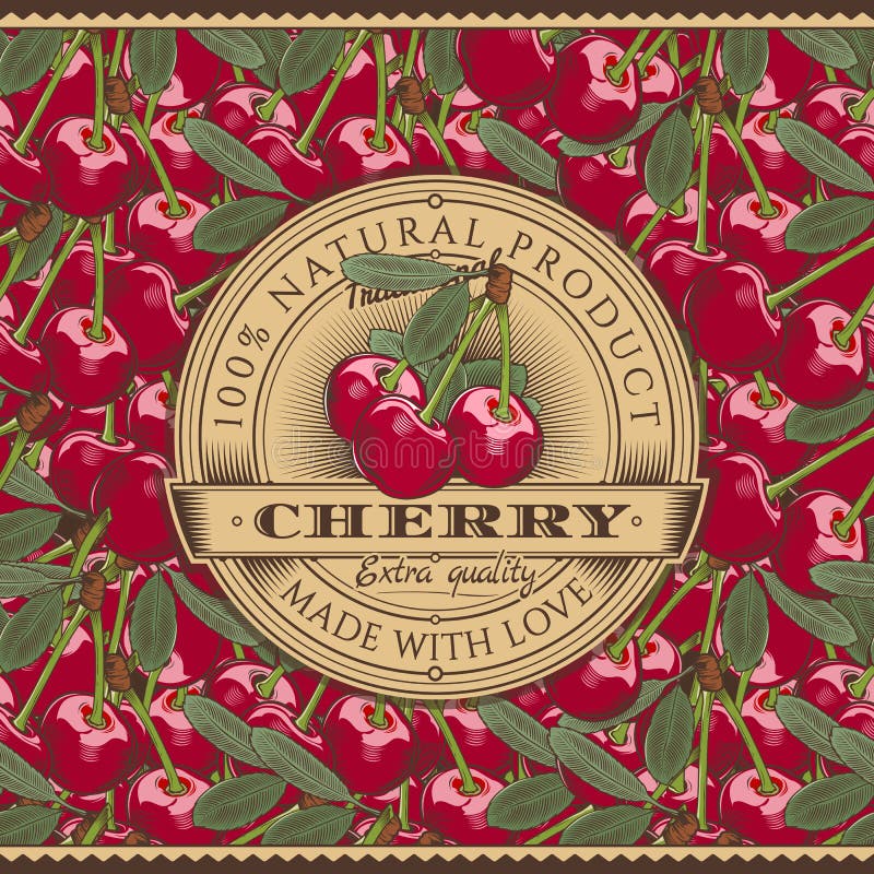 Cherry in Vintage Style. Colored Vector Illustration Stock Vector ...