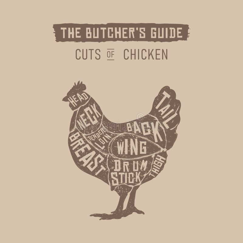 Vintage Chicken Cuts Diagram for Culinary and Educational Use Stock ...