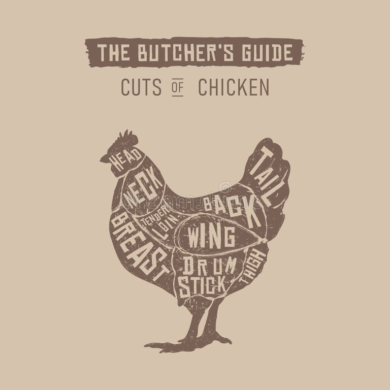 Vintage Chicken Cuts Diagram for Culinary and Educational Use Stock ...