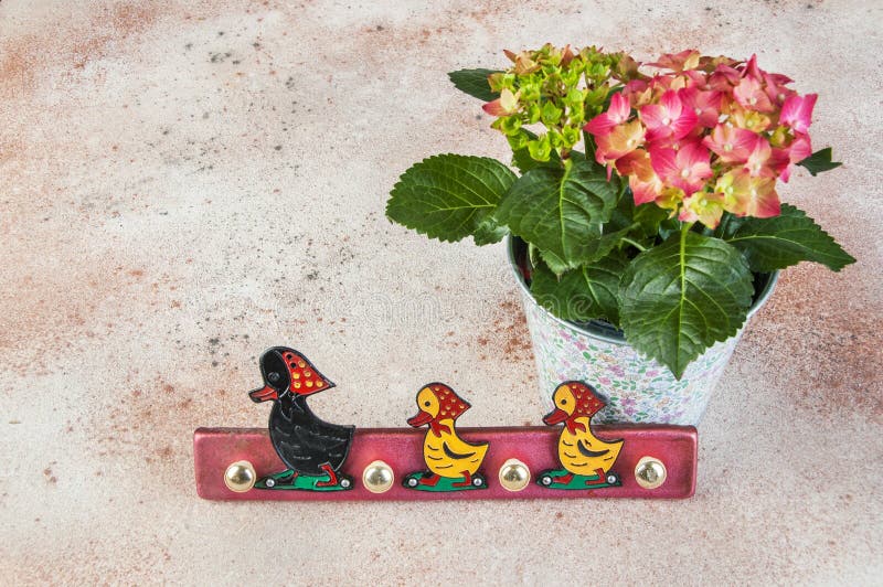 Vintage Children Coat Rack Duck and Hydrangea Stock Photo - Image of ...