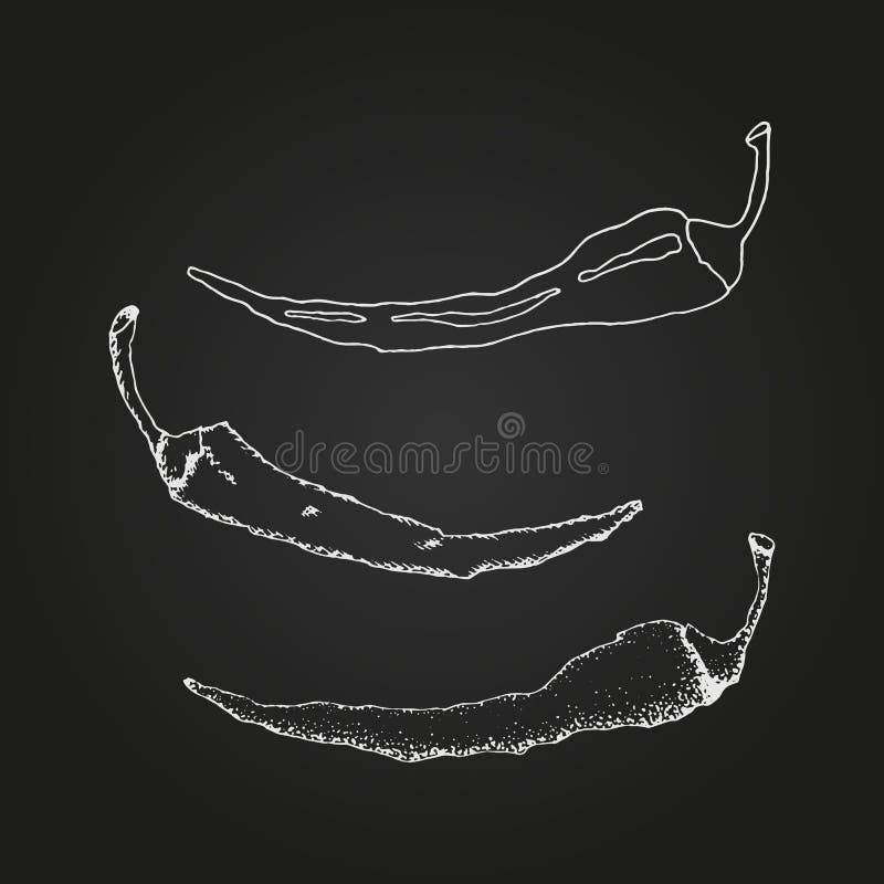 Black Chilli Label Design Stock Illustrations – 542 Black Chilli Label ...