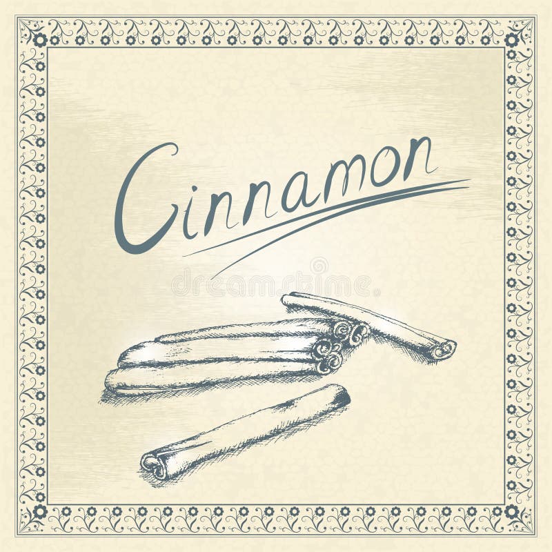Vintage Cinnamon Illustration Stock Vector - Illustration of kitchen ...
