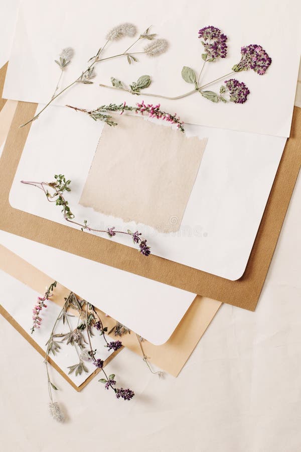 Vintage Composition of Dried Plants and Old Sheets of Paper Stock Photo ...