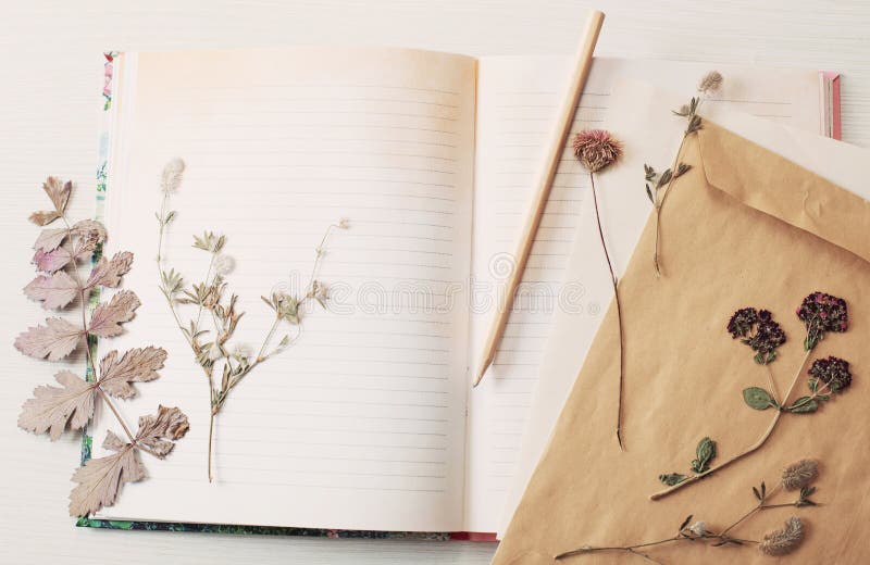 Vintage Composition of Dried Plants and Old Sheets of Paper Stock Image ...