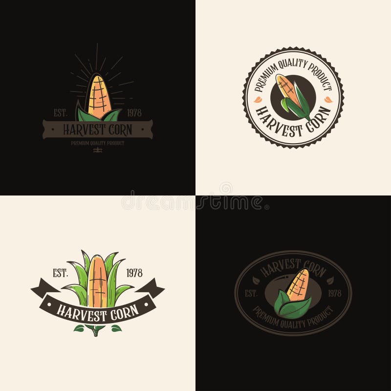 Vintage Corn Logo Concept with Hand Drawn Style Vector Stock Vector ...