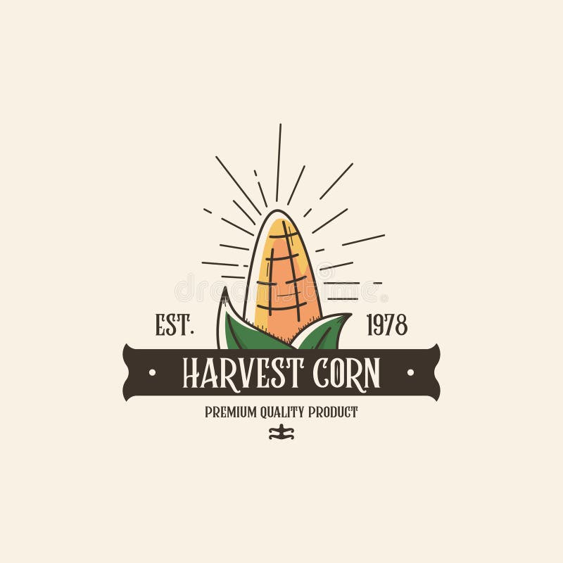 Vintage Corn Logo Concept with Hand Drawn Style Vector Stock ...