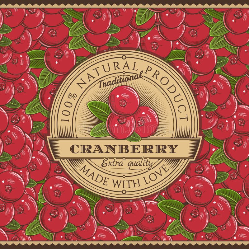Vintage Cranberry Label on Seamless Pattern Stock Vector - Illustration ...