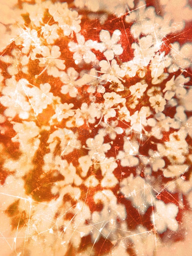 Distressed Floral Damask Background Stock Photo - Image of distressed ...