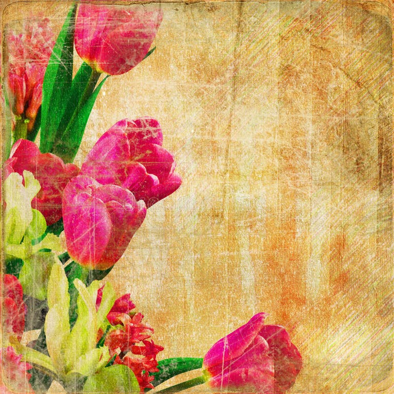 History Drawing Paper Stock Illustrations – 16,056 History Drawing ...