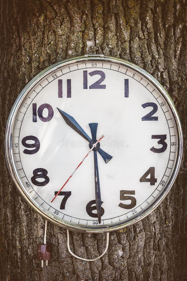 Vintage Electric Clock Hanging on a Tree Stock Image - Image of ...