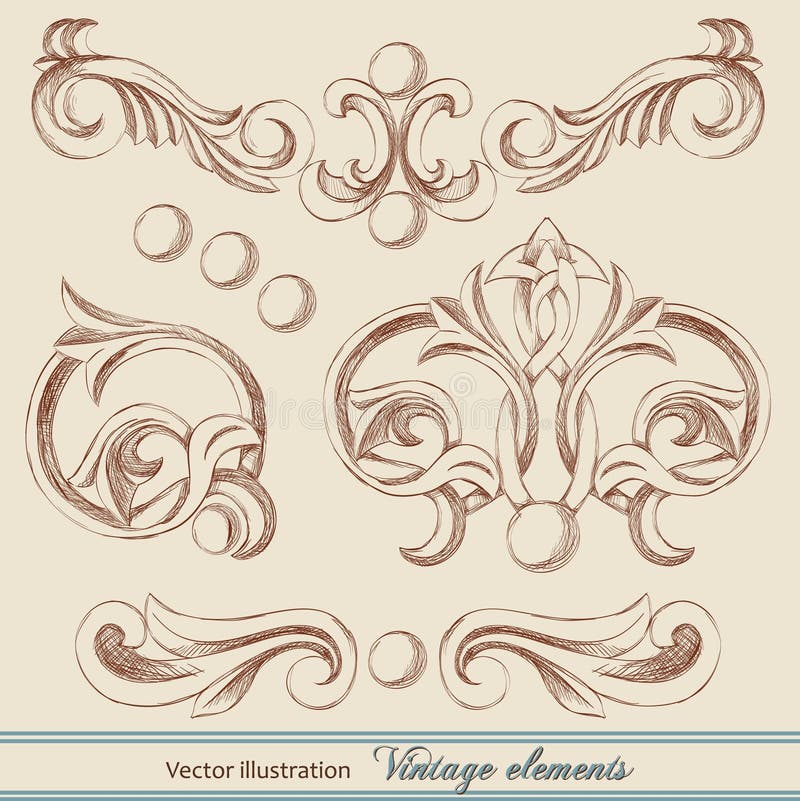 Vintage design elements stock vector. Illustration of edelweiss - 10909350
