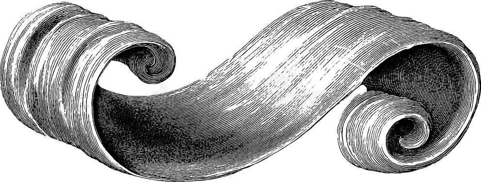 Vintage Engraved Classic Scroll Design for Historical Document or ...