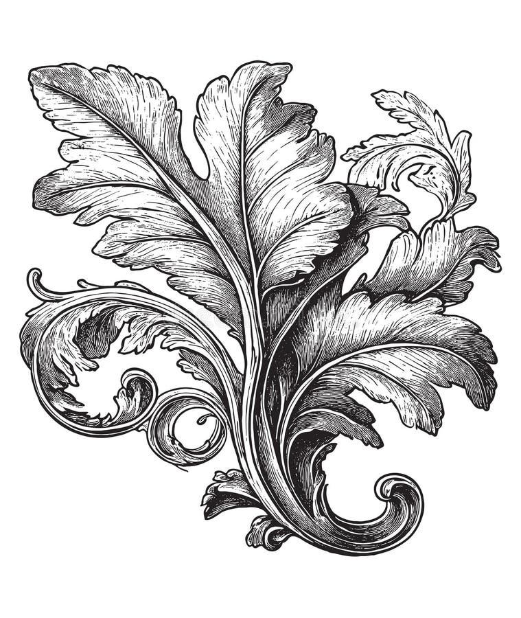 Vintage Engraving of Acanthus Scroll, Floral Decorative Design Element ...