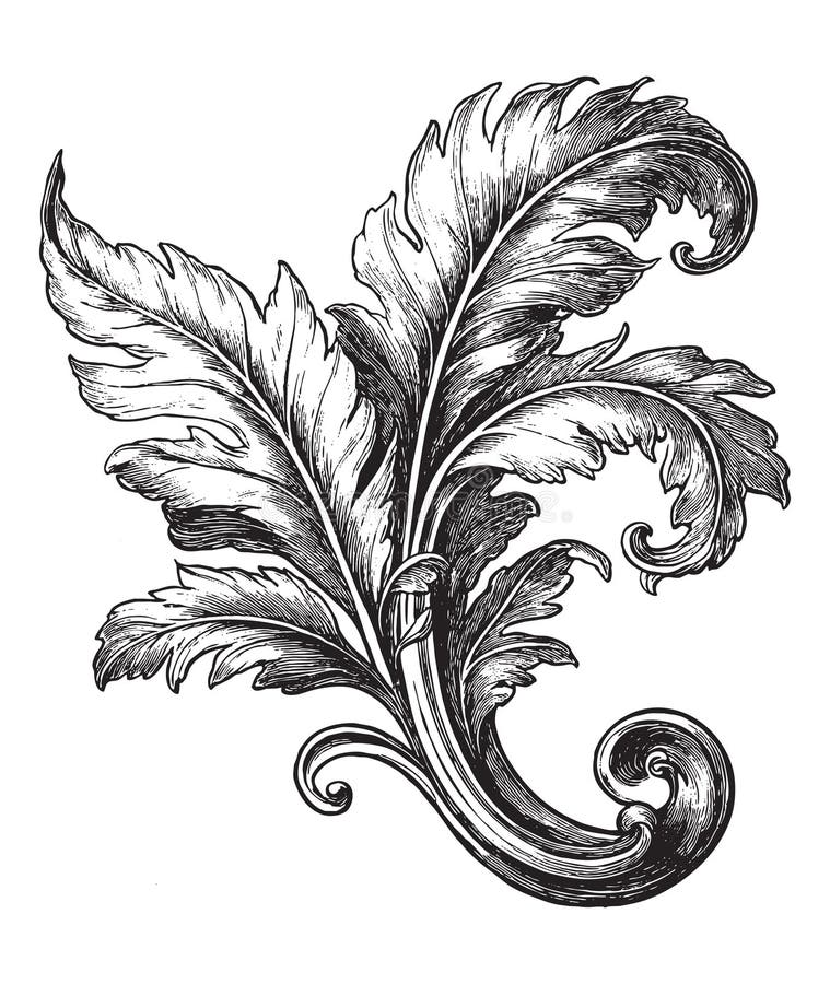 Vintage Engraving of Acanthus Scroll, Floral Decorative Design Element ...
