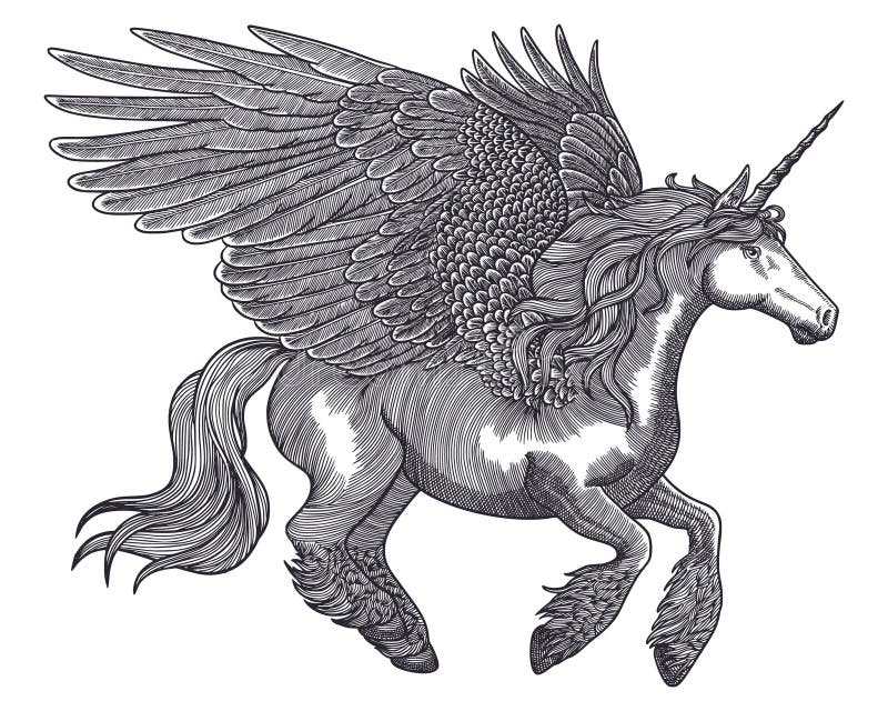 Pegasus Greek Mythological Creature Stock Vector - Illustration of ...