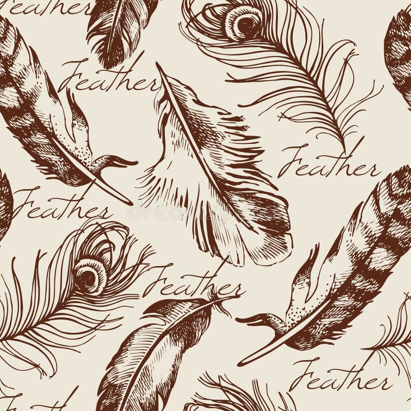 Vintage Feather Seamless Pattern Stock Vector - Illustration of ...