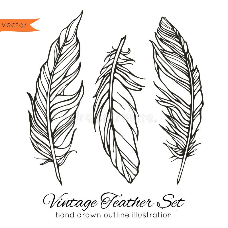 Vintage Feather Set Isolated on White Stock Vector - Illustration of ...