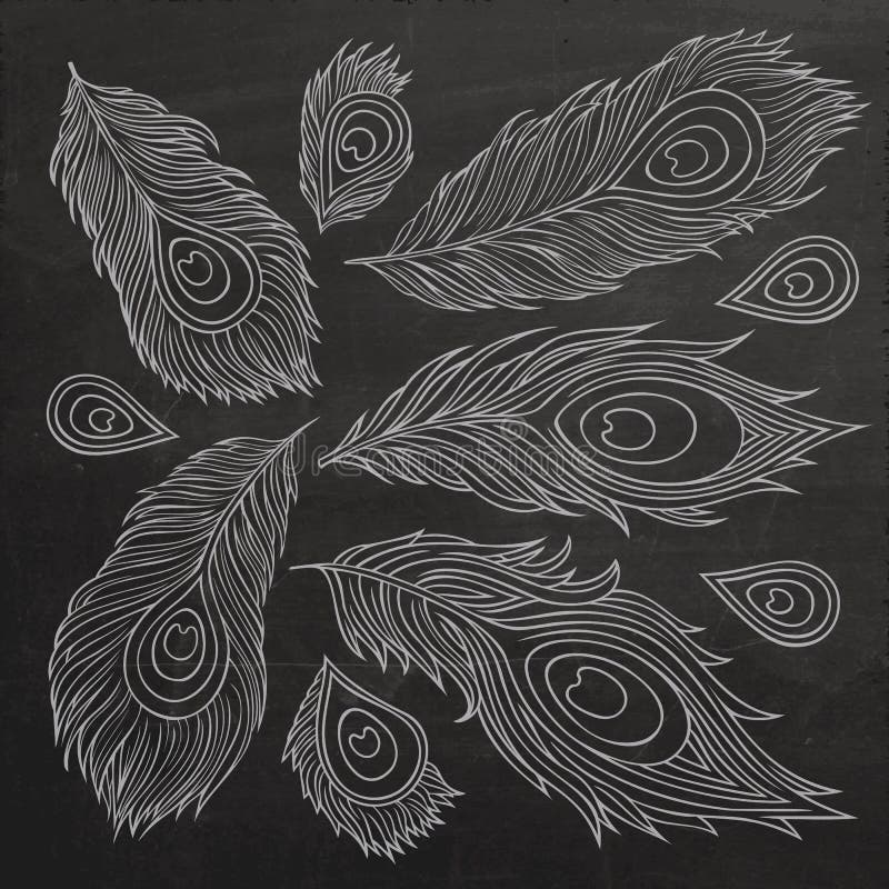 Vintage Feather Vector Set. Stock Vector - Illustration of ethnic ...