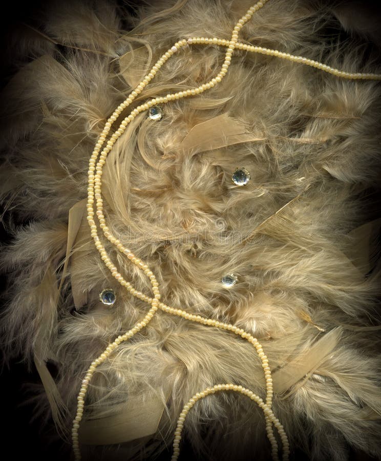 Vintage Feathers Pearls Diamonds Stock Image - Image of bride, grubby ...