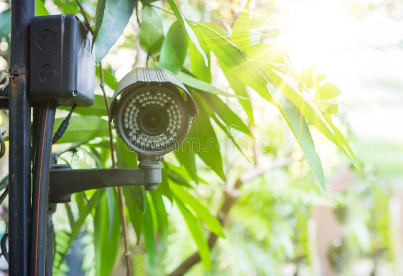 Vintage Filter on Security Camera Hanging in the Park Close Up Stock ...