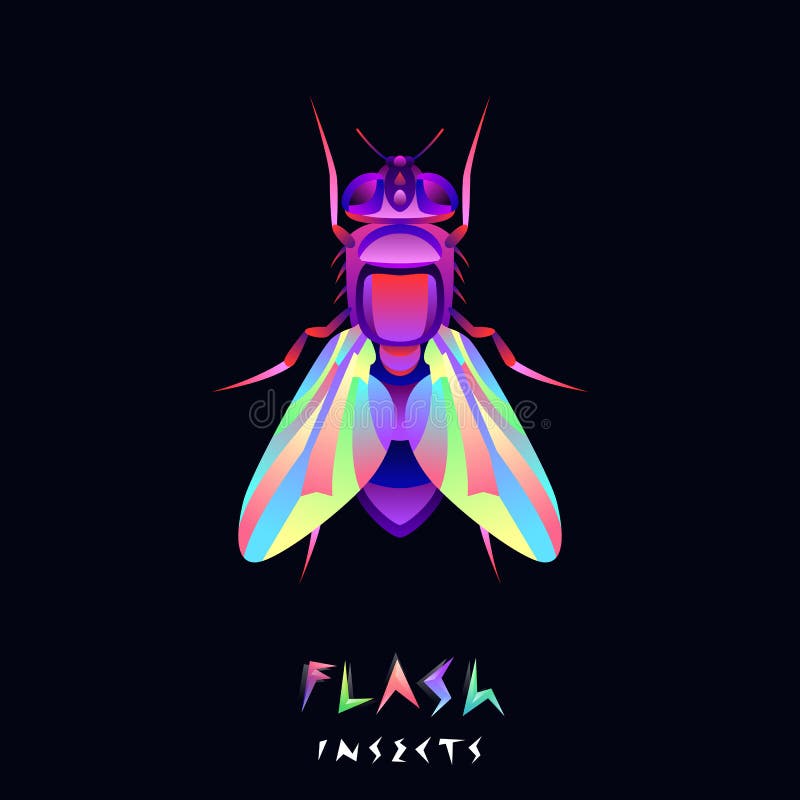 Flash fly illustration stock vector. Illustration of emblem - 234870134