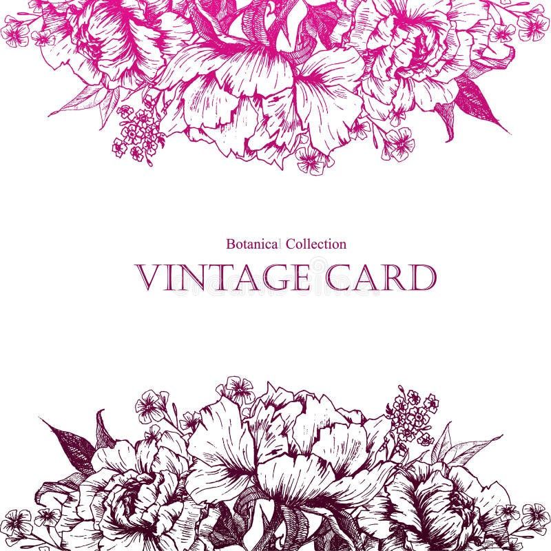 Vintage floral vector card stock vector. Illustration of botany - 58930101