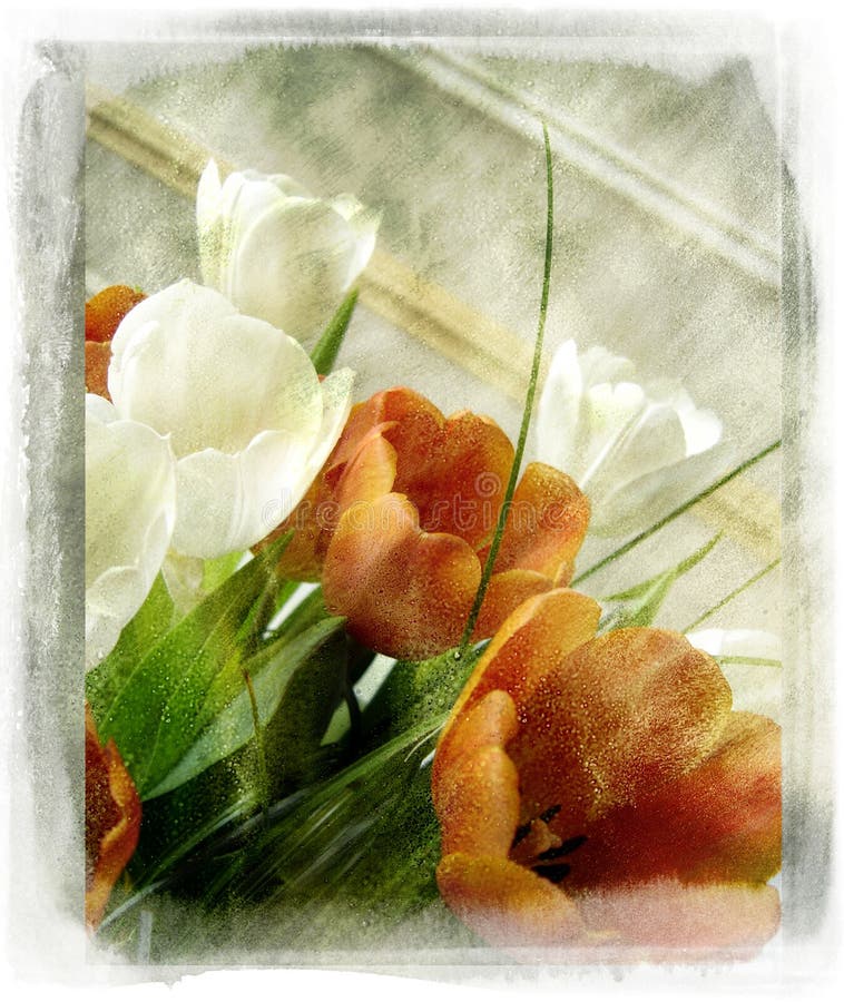 Vintage flower stock image. Image of beautiful, love, bright - 595427