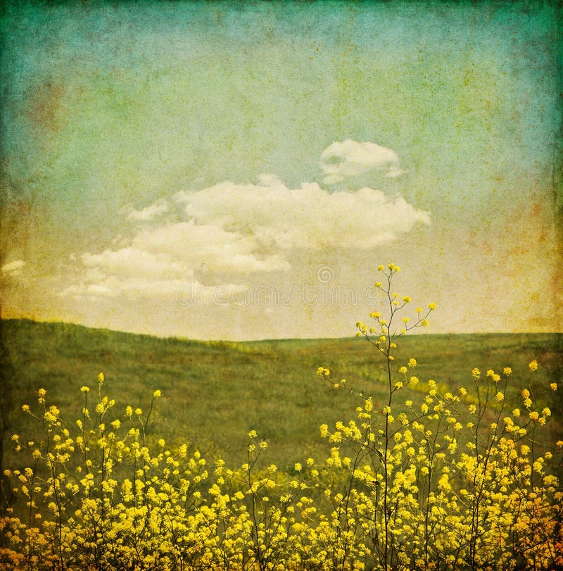 Field Of Flowers Vintage Photography