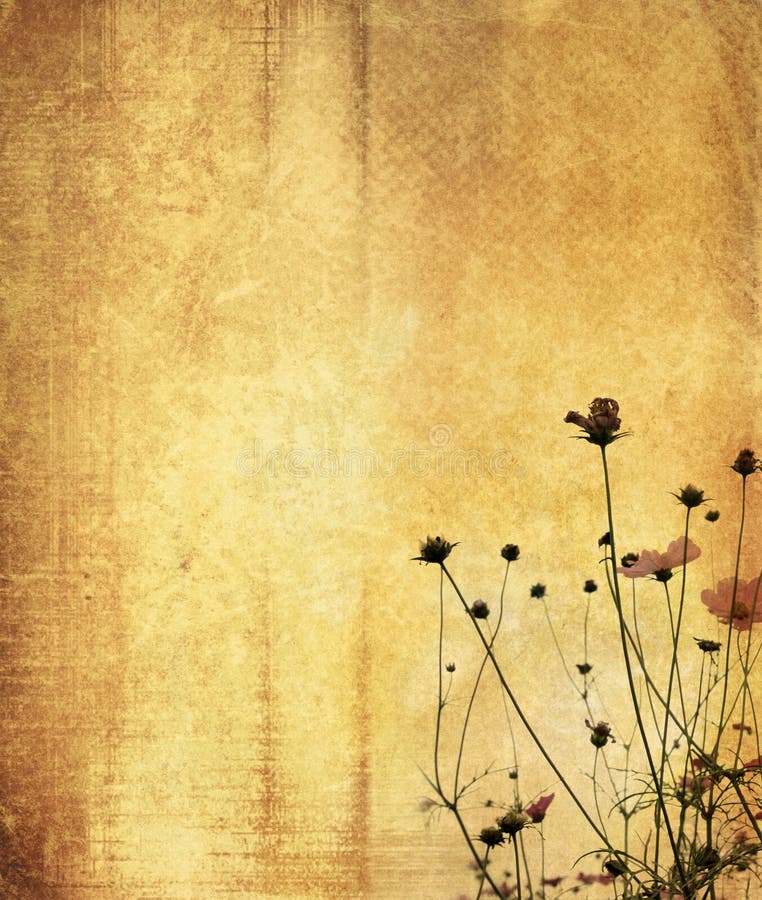 Old Paper Flower Background Frame Stock Illustration - Illustration of ...