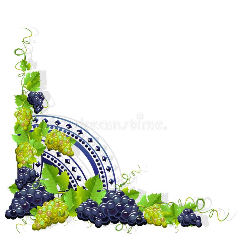 Vintage frame with grapes stock vector. Illustration of retro - 95524574