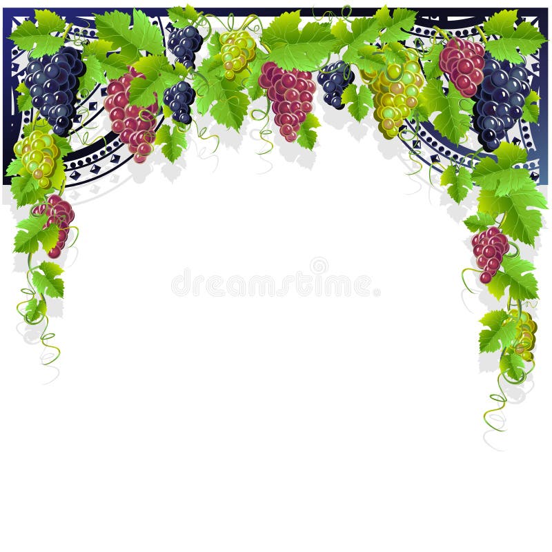 Vintage Frame with Wine and Grapes Stock Vector - Illustration of ...