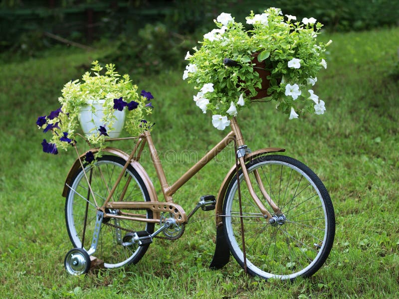 Vintage garden bicycle stock photo. Image of flourish - 26948298