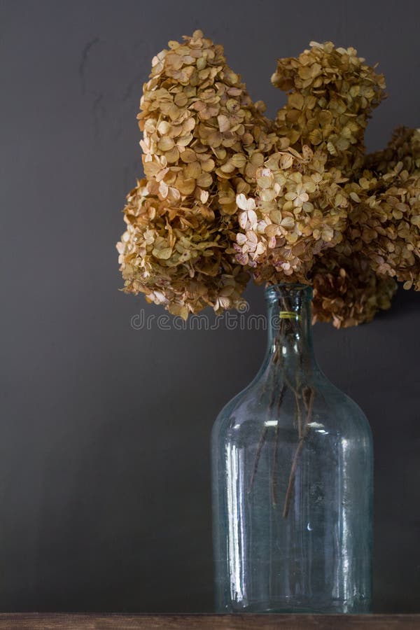 Vintage Glass Bottle with Dry Hydrangea Bouquet, Natural Background ...