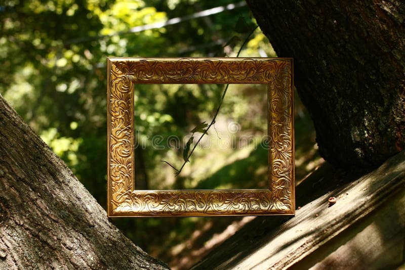 Vintage Golden Frame on a Tree in the Forest Stock Illustration ...