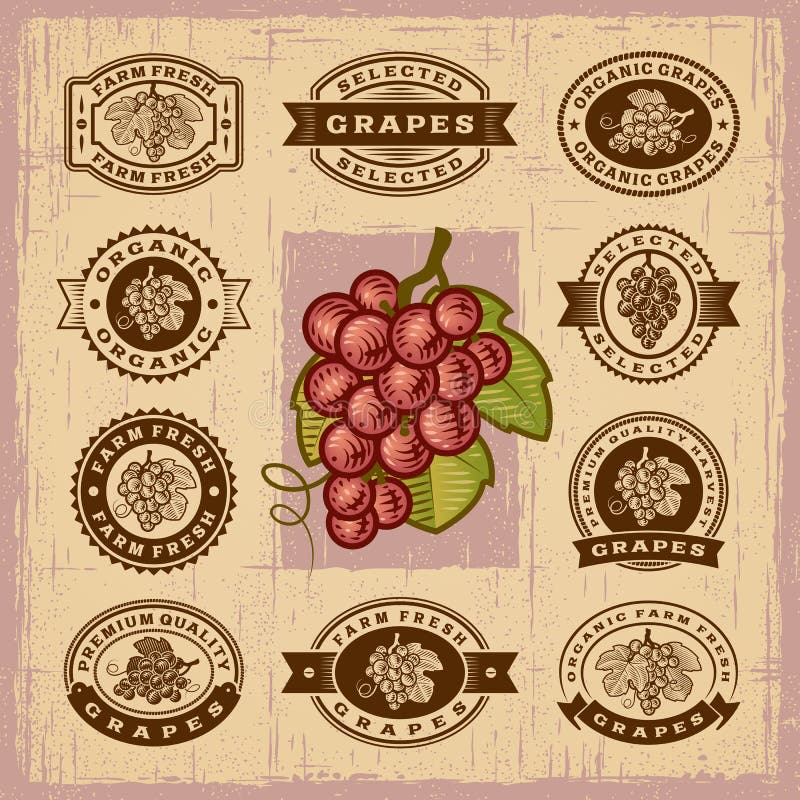 Vintage grapes labels set stock vector. Illustration of antique - 29734085