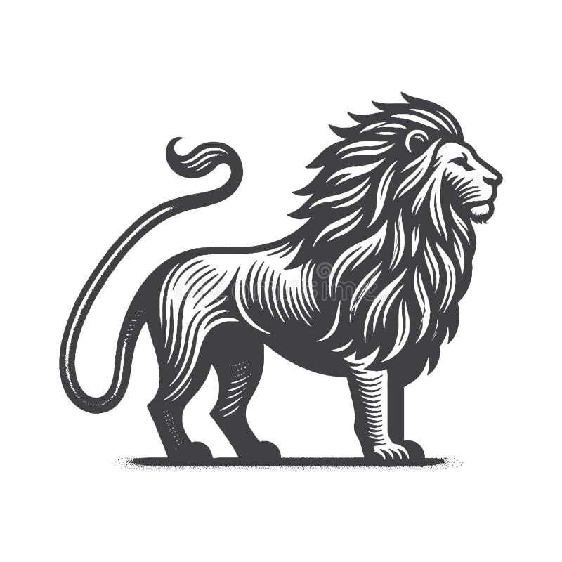 Vintage Hand-Drawn African Lion Full Body Side View Vector. Stock ...