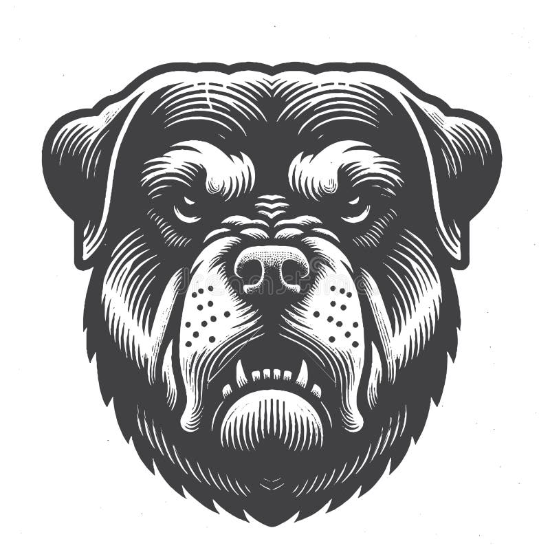 Drawn Angry Rottweiler Head Vector Stock Illustrations – 10 Drawn Angry ...