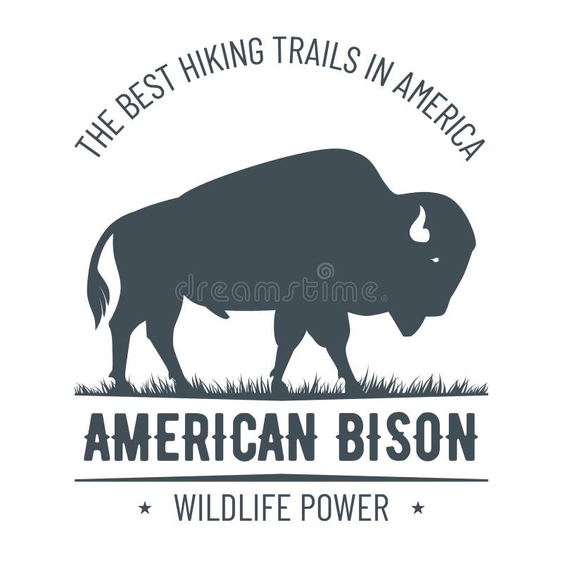 Vintage Hand Drawn Bison Emblem Stock Vector - Illustration of poster ...