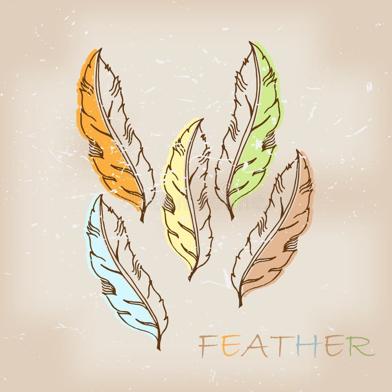 Vintage hand drawn feather stock vector. Illustration of design - 64866127
