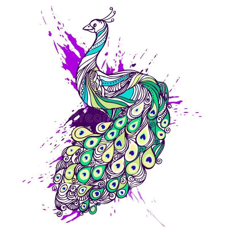 Doodle Peacock and Spiral Elements, Outline Vector Illustration for ...