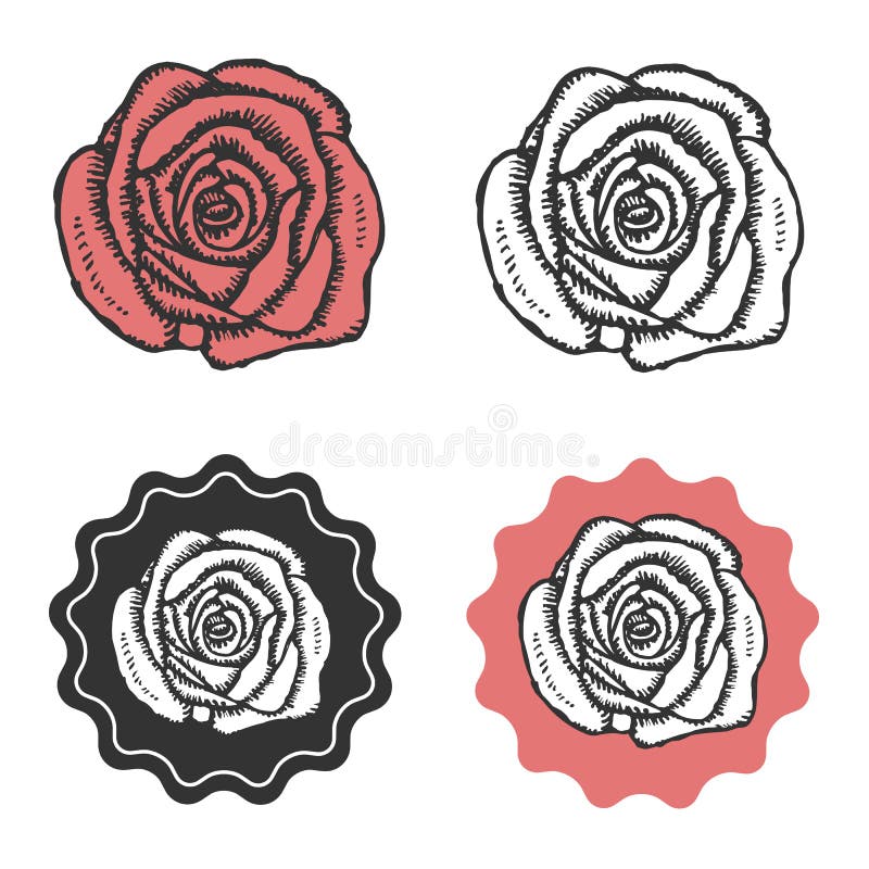 Vintage Hand Drawn Rose Logo Emblem Sign Stock Vector - Illustration of ...